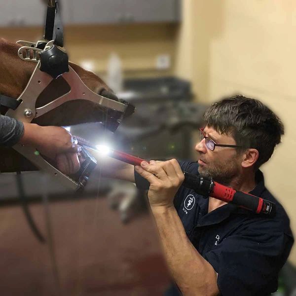 Terafloat - Equine Dentistry, Veterinary, Powerfloat